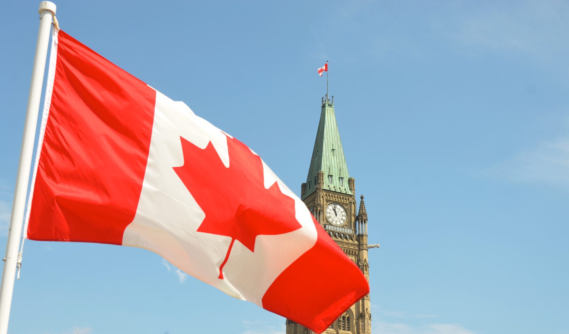 Programs and Services for Newcomers - VWAT